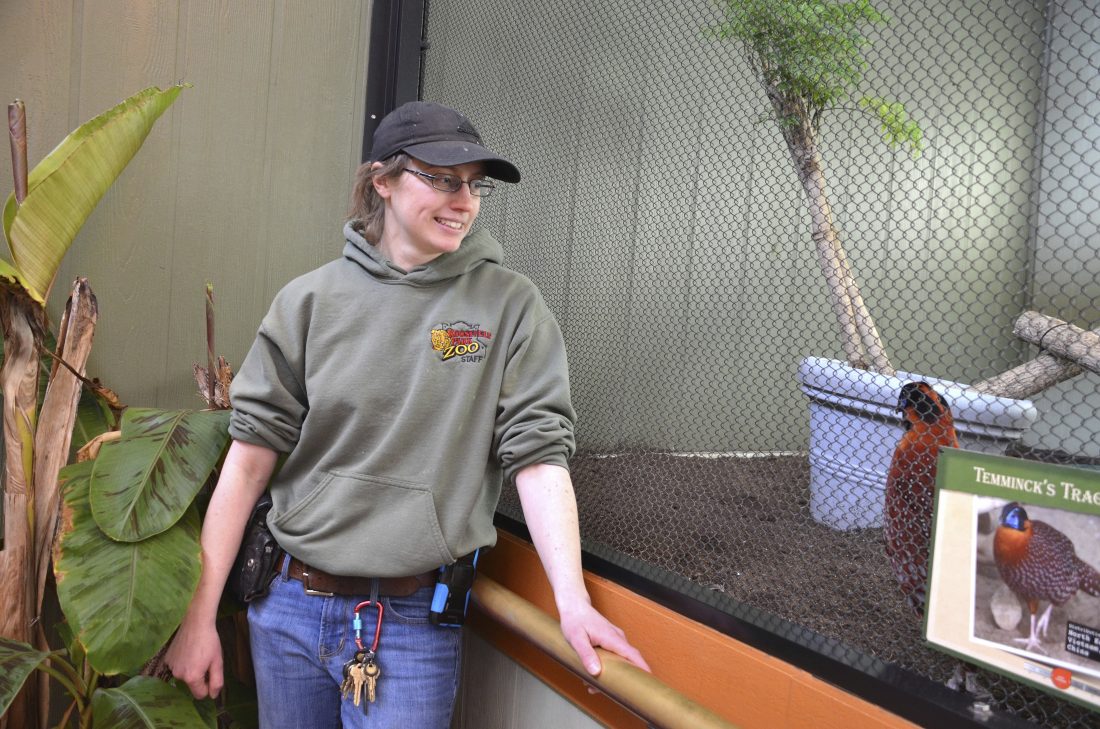 Keeper of birds: Dream job for zoo’s aviary zookeeper | News, Sports ...